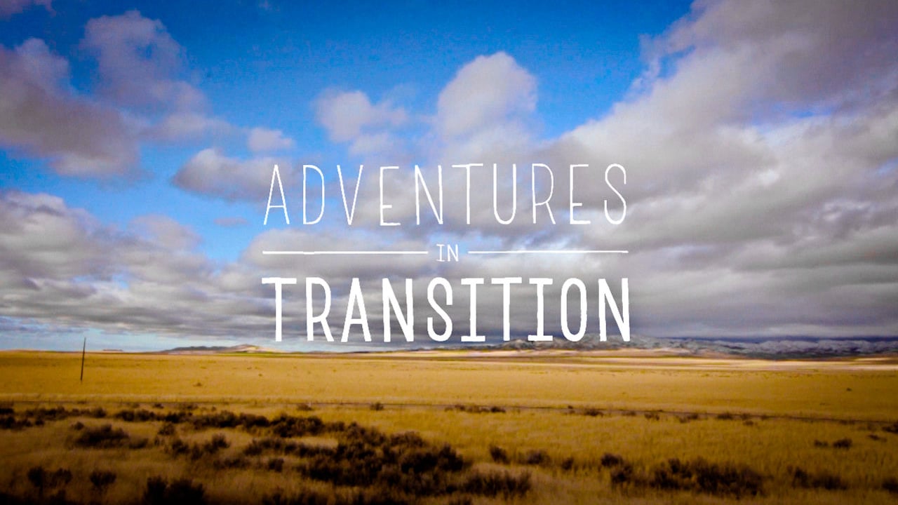The Truth of Transitions – Pure Purpose