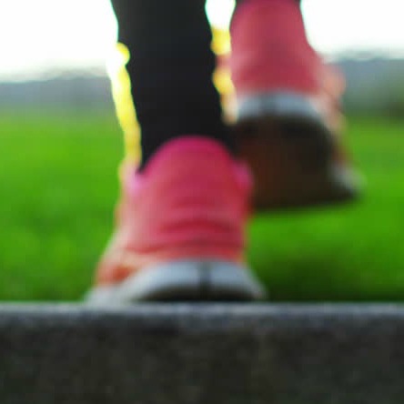 Same Path, Different Steps – Pure Purpose