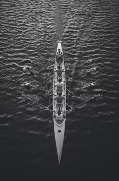 The Difference in Co – Pure Purpose