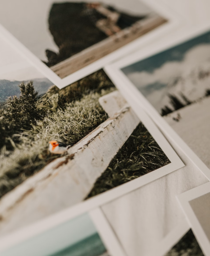 Bonus Snapshots – Pure Purpose