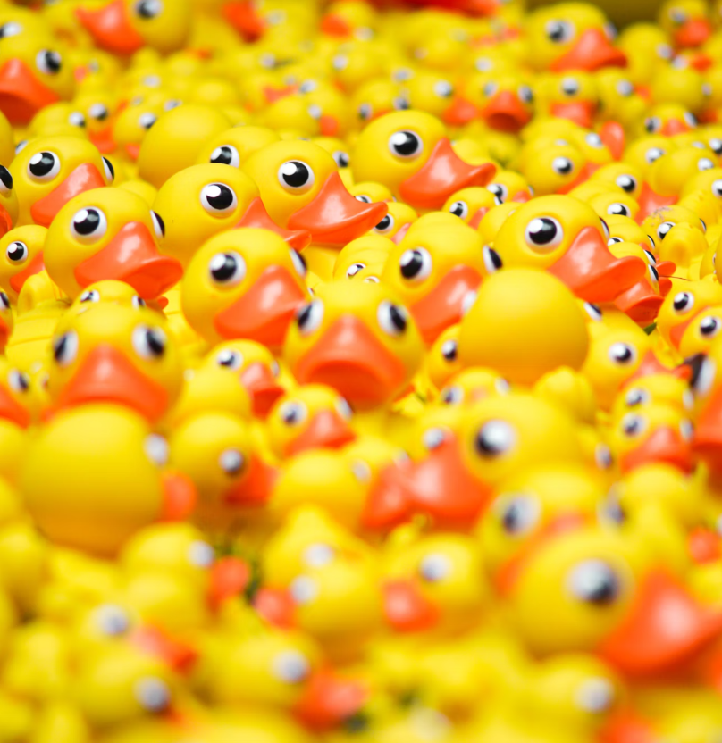 Pick Up Ducks – Pure Purpose